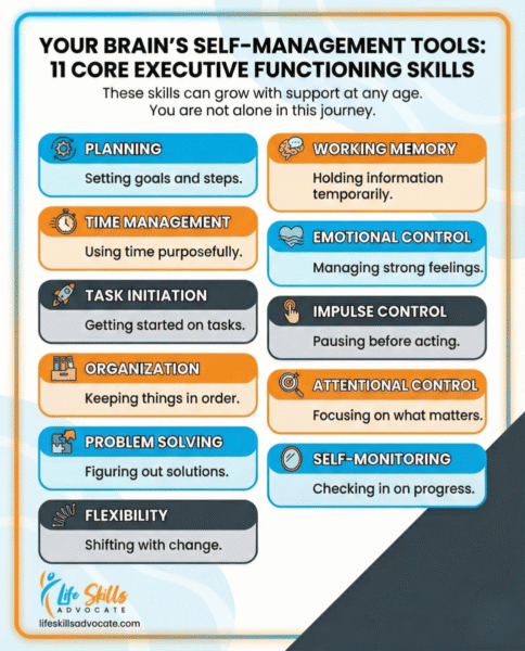 11 Executive Functioning Skills: What They Are, Signs, And Real-Life ...