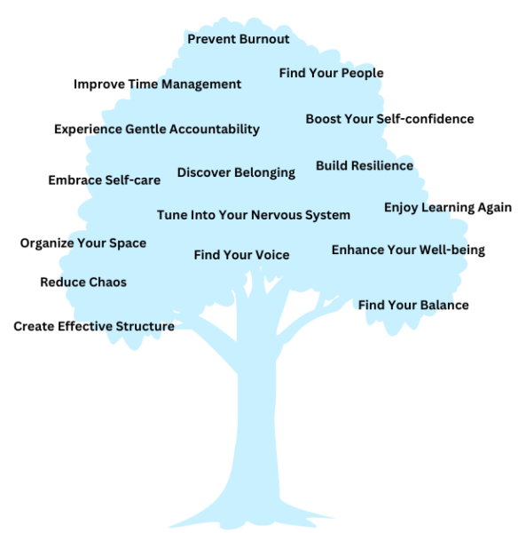 Back-To-School Executive Function Coaching | Life Skills Advocate