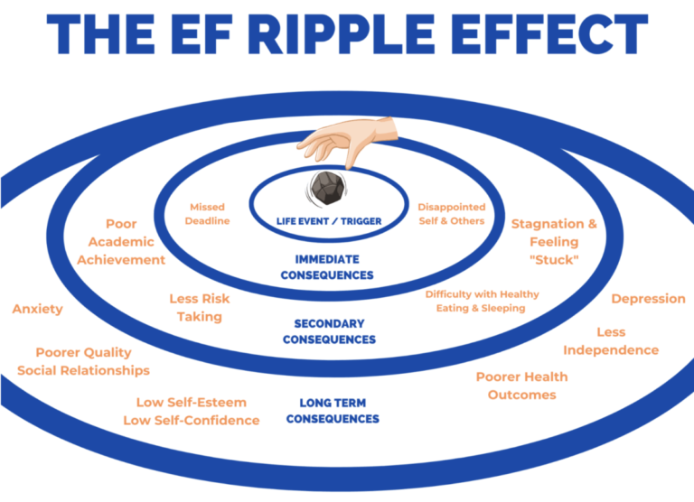 Emotional Regulation & Executive Functioning: Understanding The ...