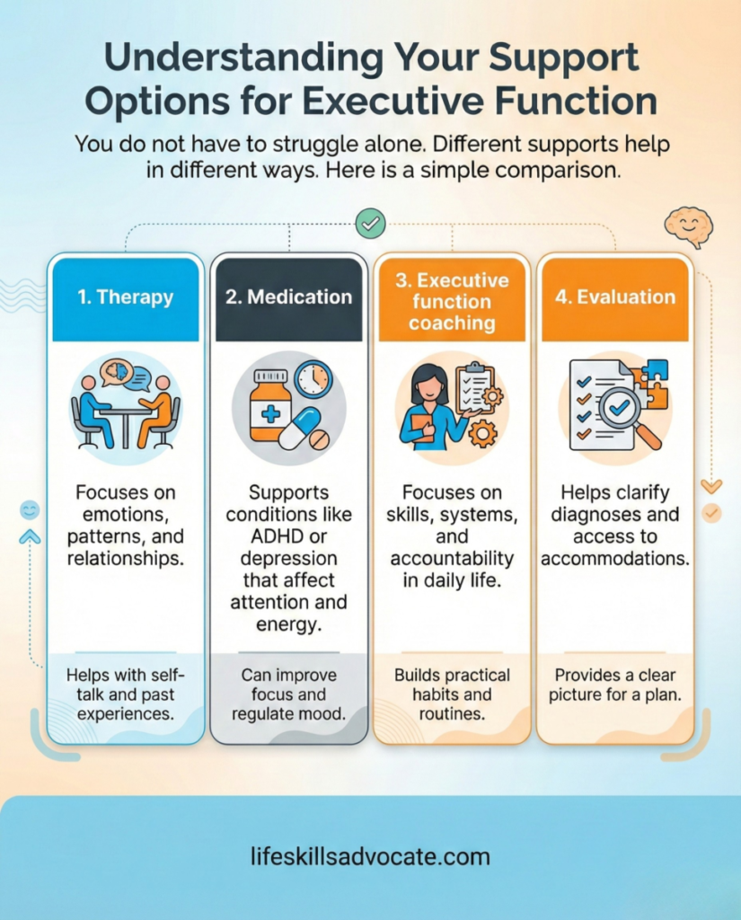 Improve Executive Function In Adults: A Realistic Guide | Life Skills ...