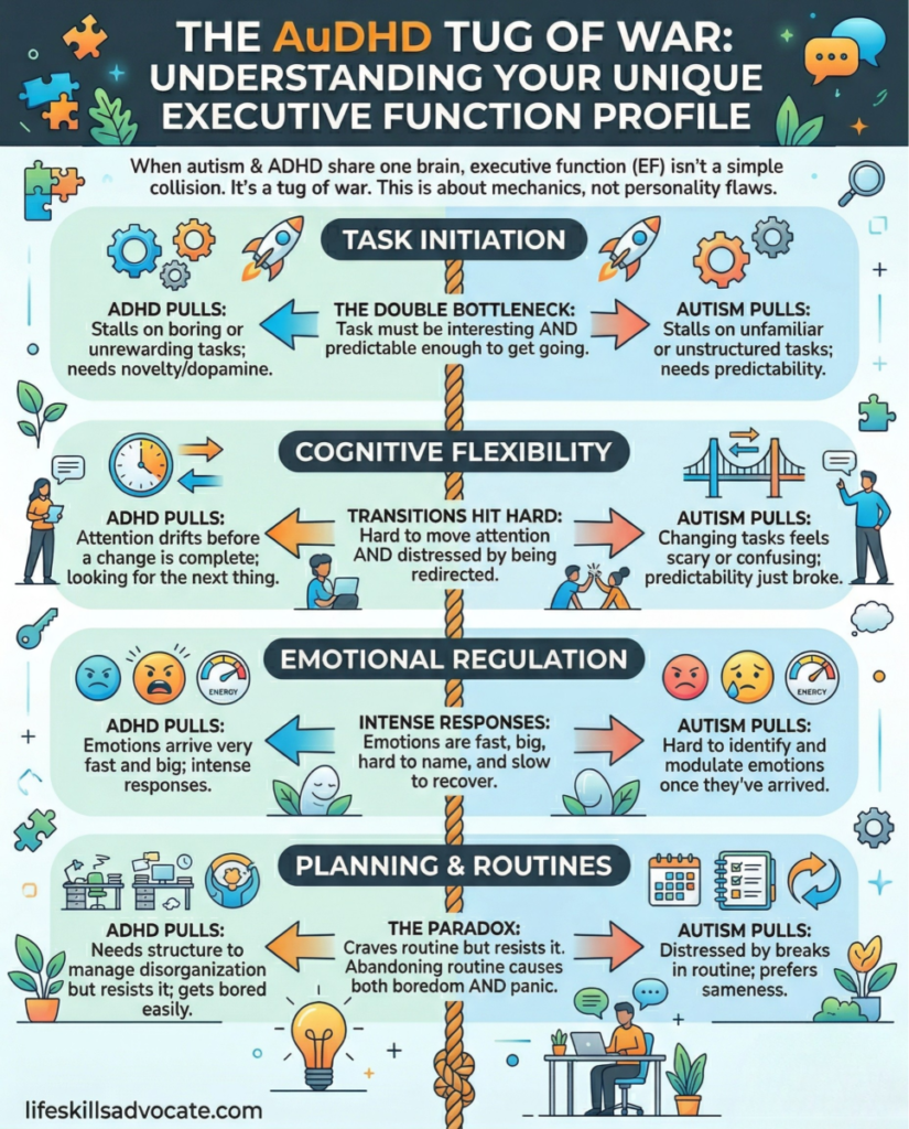 AuDHD And Executive Function: What Happens When Autism And ADHD Share ...